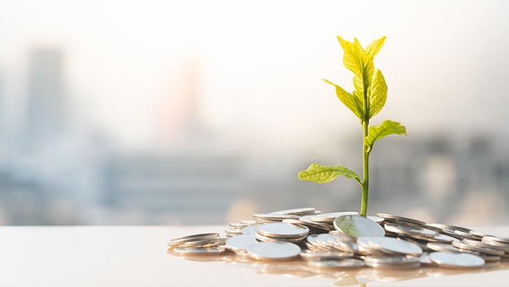 Developing a Growth Mindset for Finance Talent Development: Lessons ...