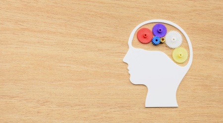 Knowledge Management | APQC